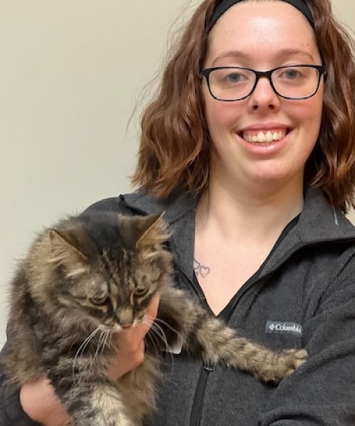Veterinarian in Manlius, NY | Manlius Veterinary Hospital