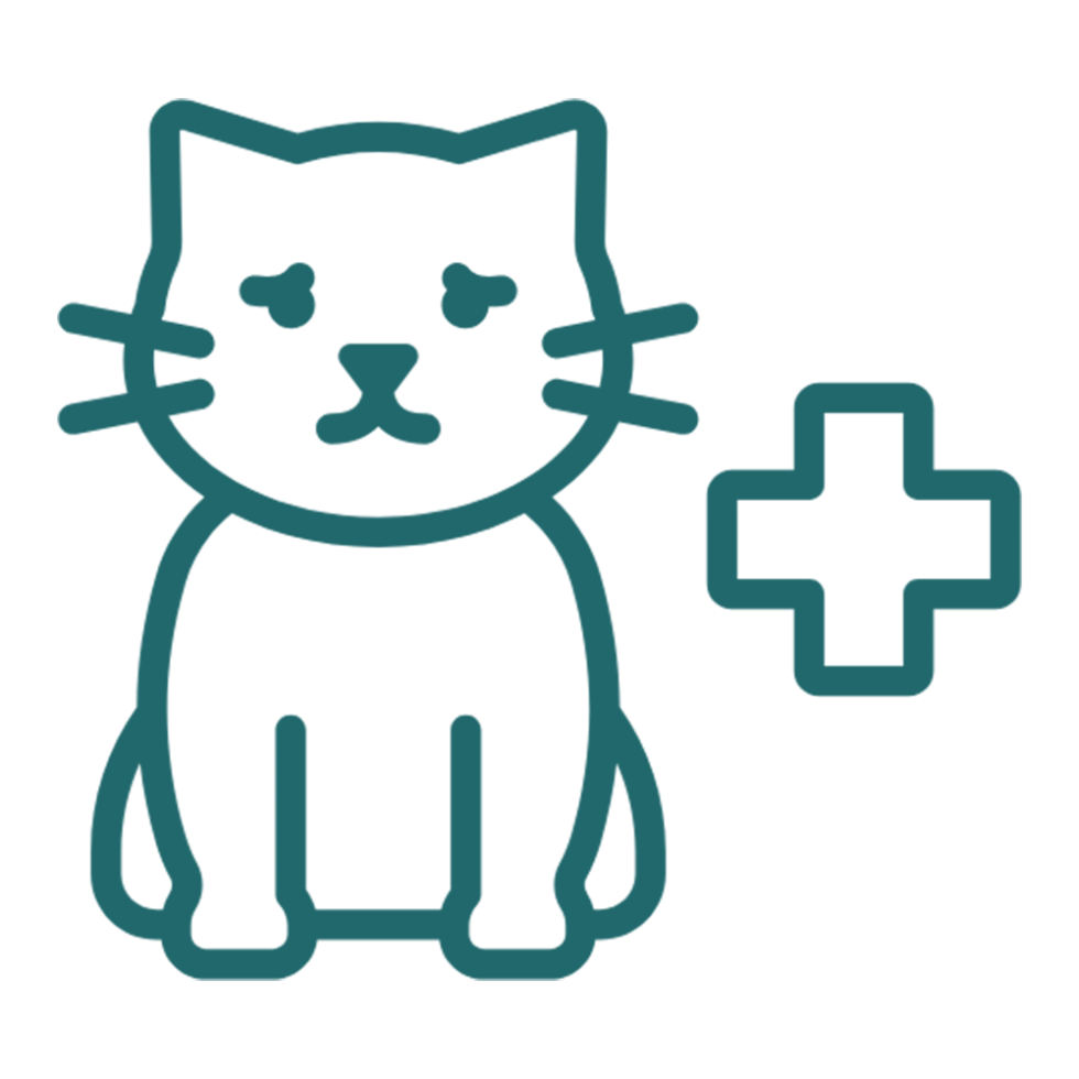 Best Vet Hospital in Manlius, NY | Manlius Veterinary Hospital